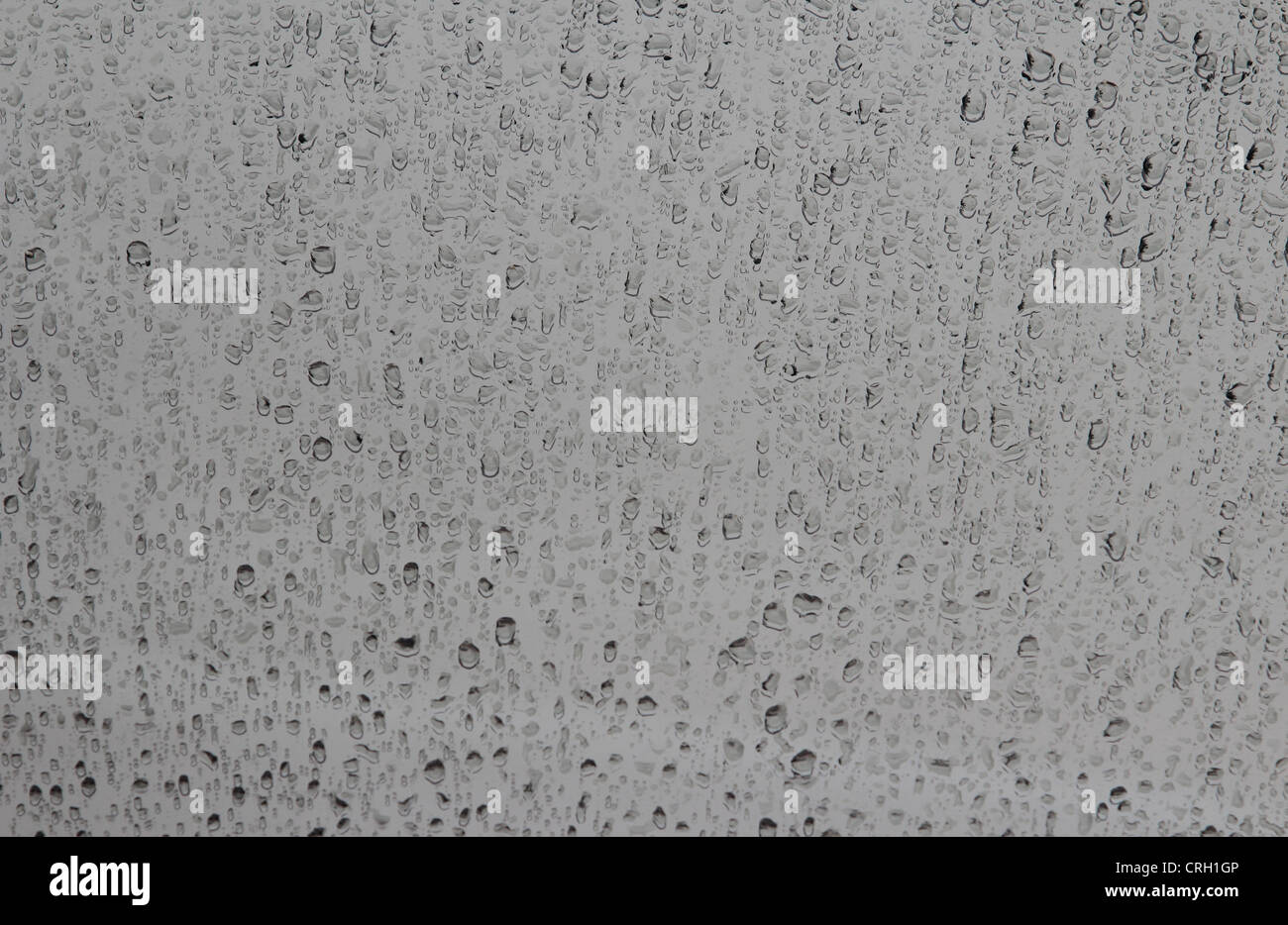 Rain moisture humid hi-res stock photography and images - Alamy