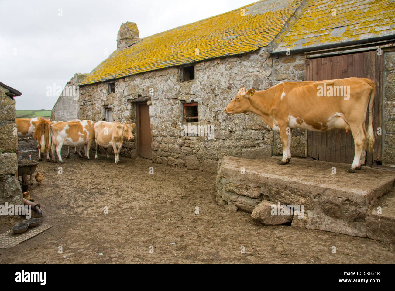 18th century cornwall hi-res stock photography and images - Alamy
