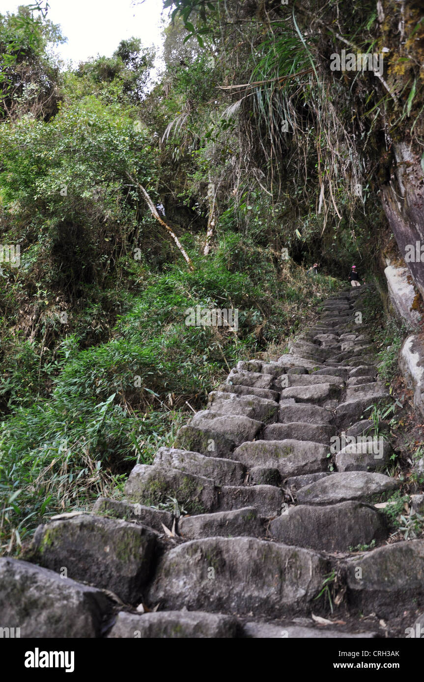 Camino inca hi-res stock photography and images - Alamy