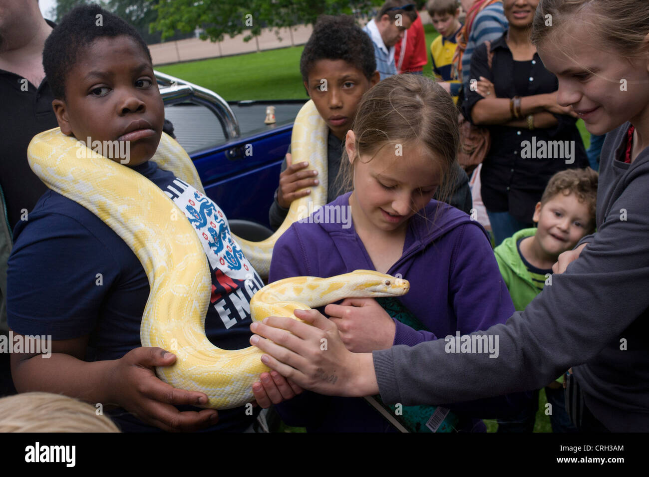 Local children enjoy handling a Burmese Python in their local park ...