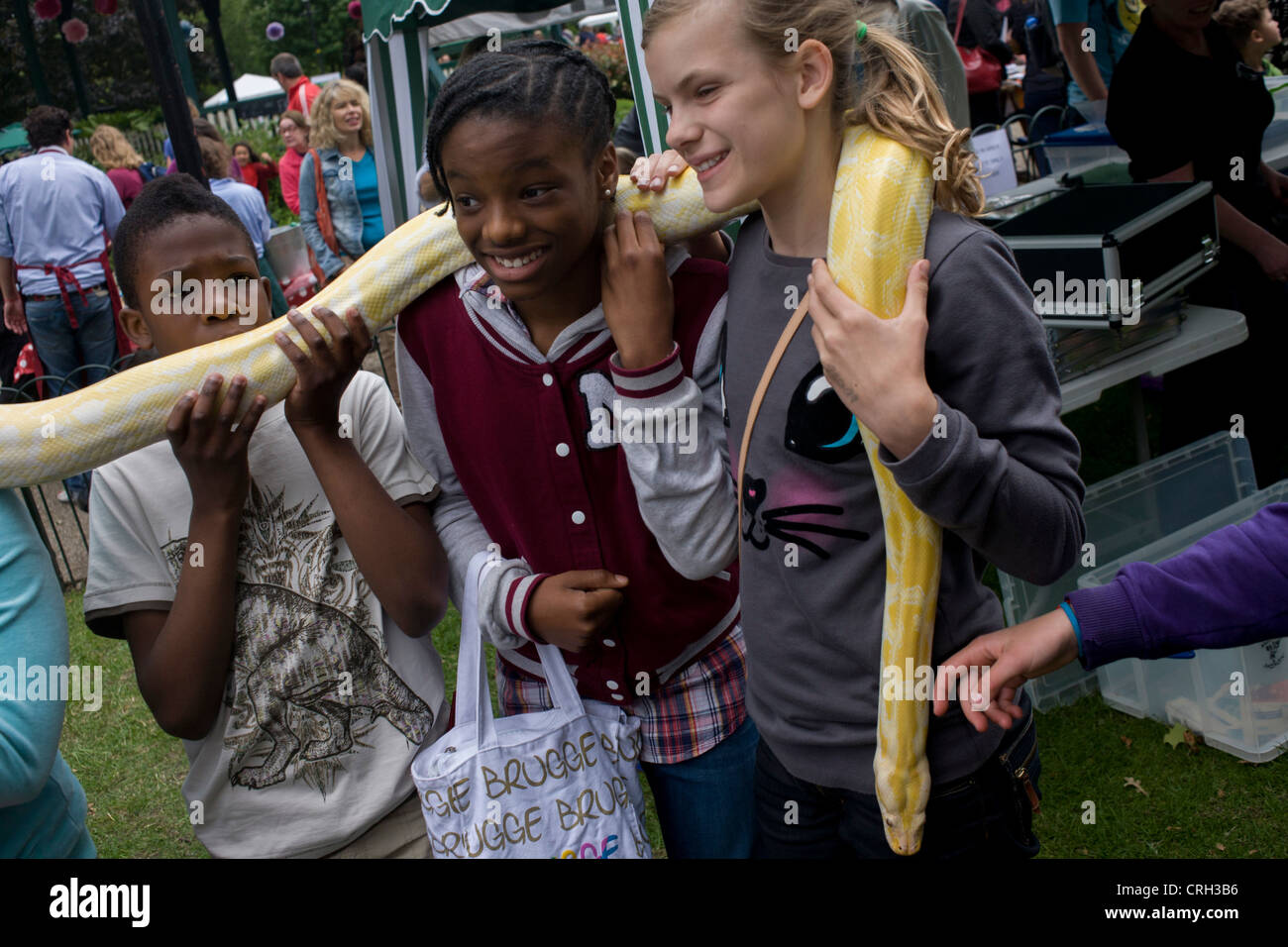 Local children enjoy handling a Burmese Python in their local park ...