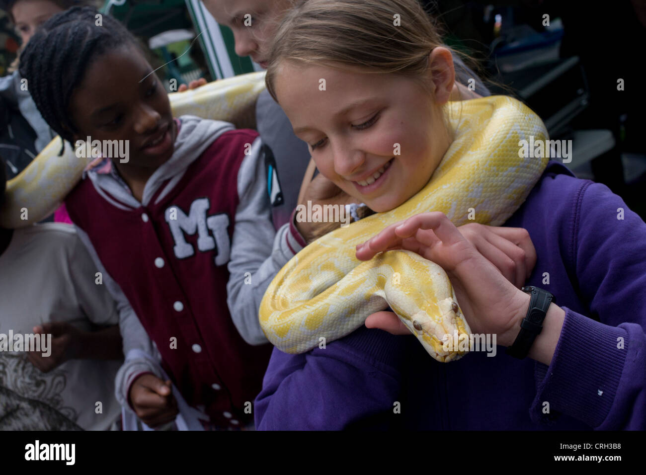 Local children enjoy handling a Burmese Python in their local park ...