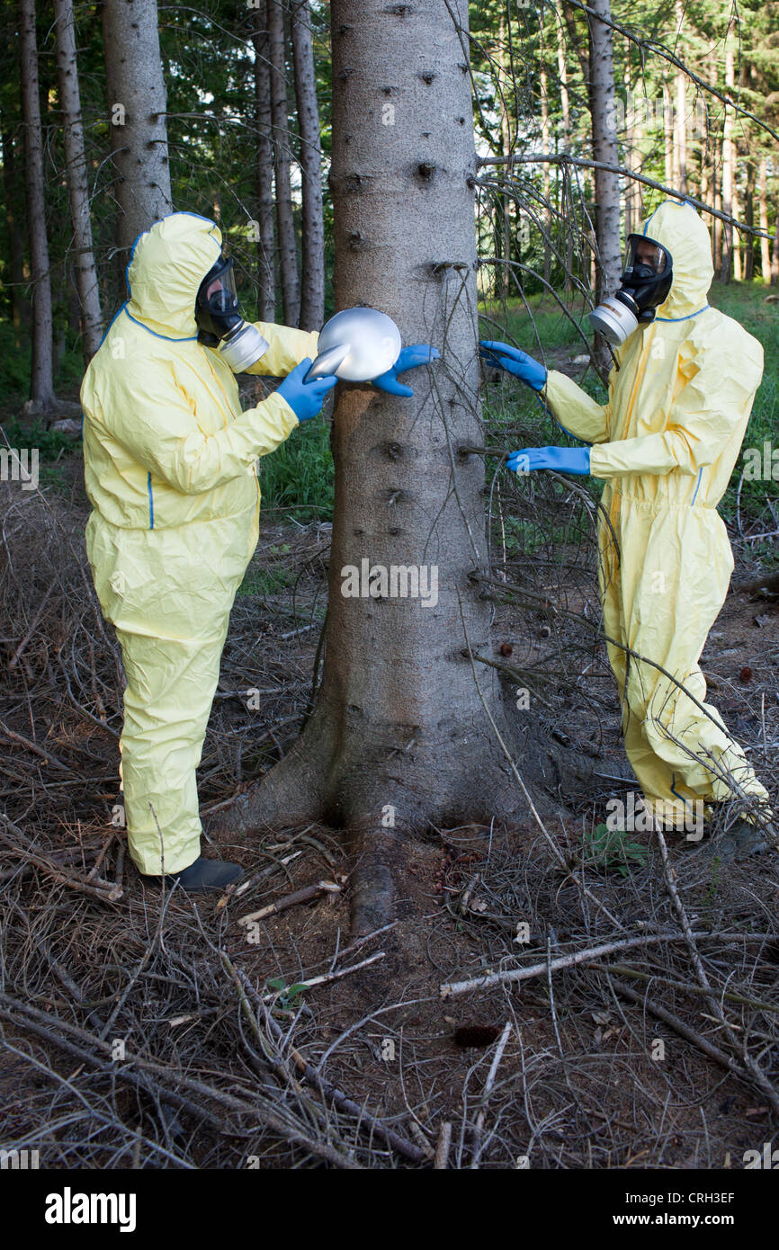 Two experts checking forest for radiation Stock Photo - Alamy