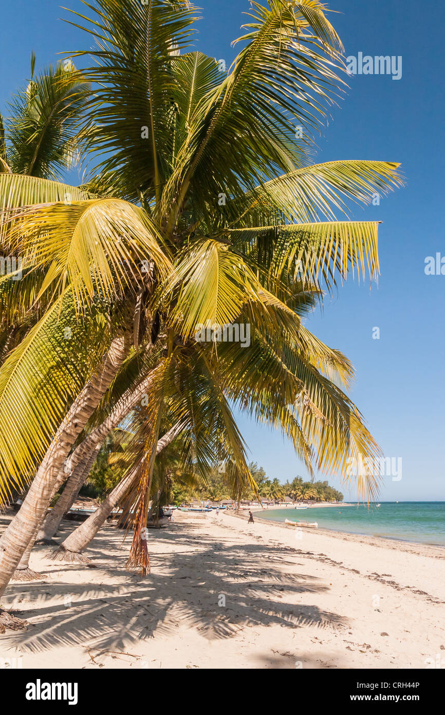 The beach of Ifaty, southwestern Madagascar Stock Photo - Alamy