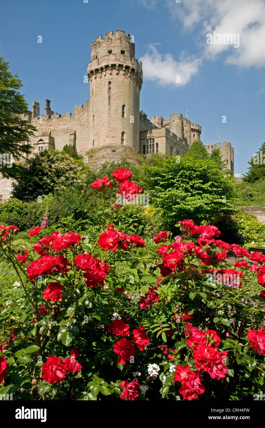 Roses in england hi-res stock photography and images - Alamy