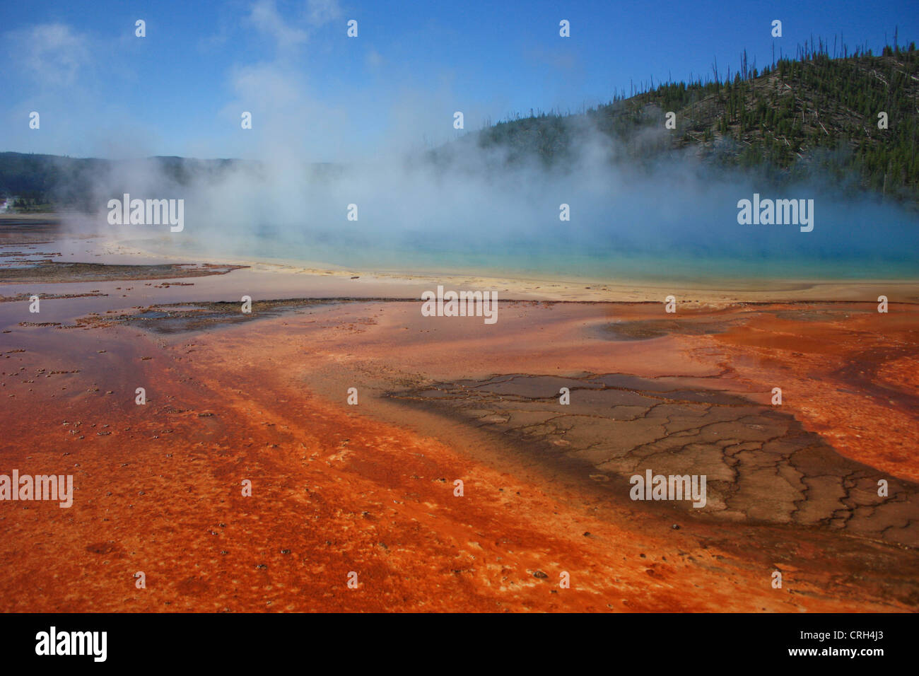steam rising from very colorful hot spring Stock Photo - Alamy