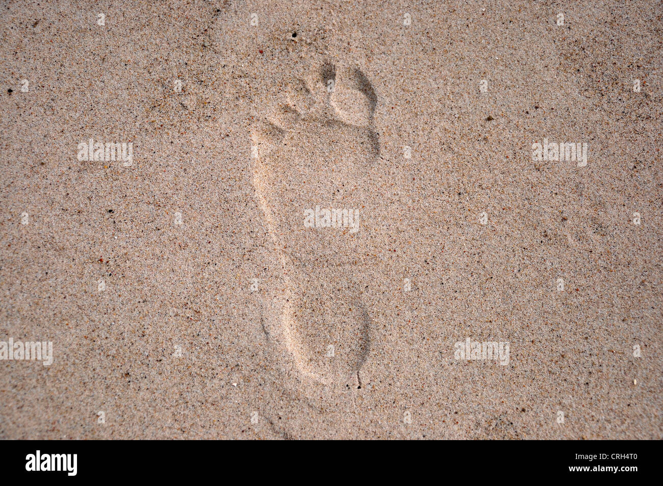 Footprint left on sand Stock Photo - Alamy