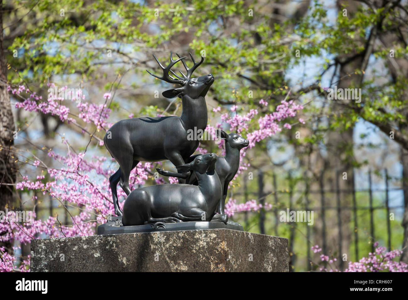 Fence Detail, Ancient Playground, Central Park, Manhattan, New York ...