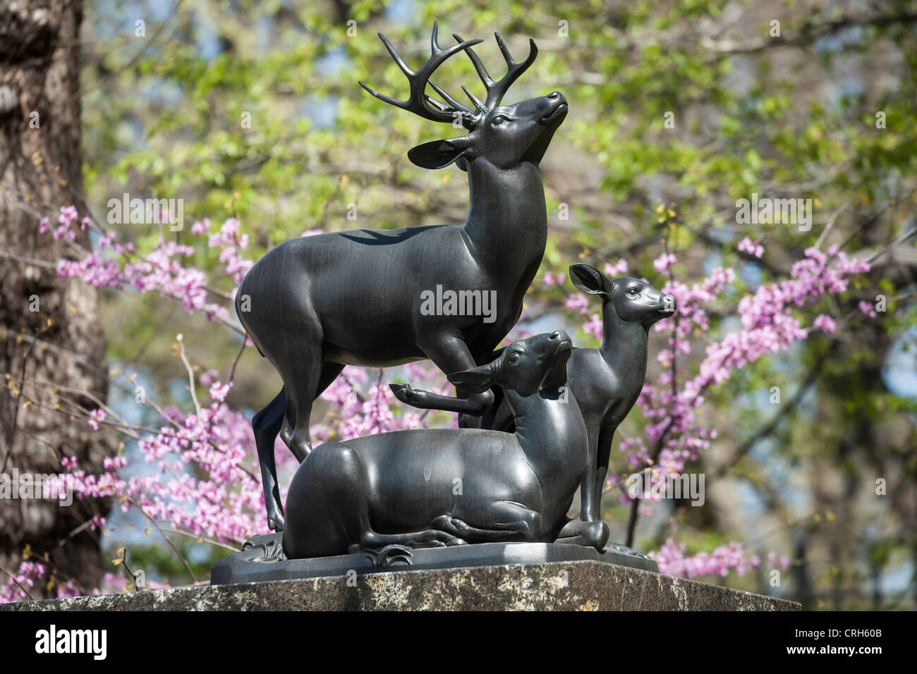 The Ancient Playground in Central Park is beautiful in springtime, New ...