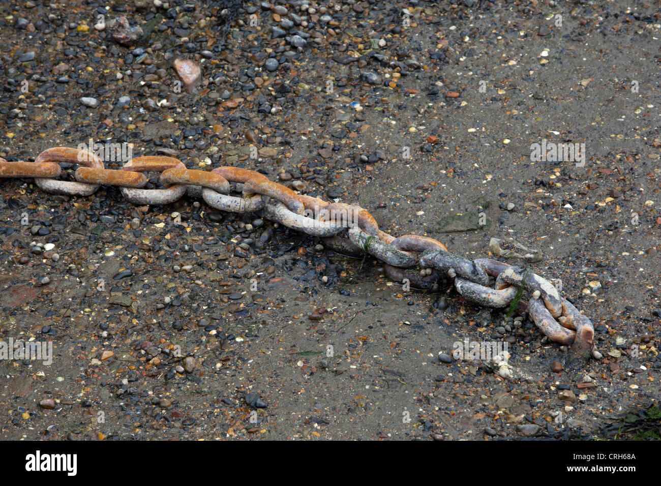 Pebbles and mud hi-res stock photography and images - Alamy