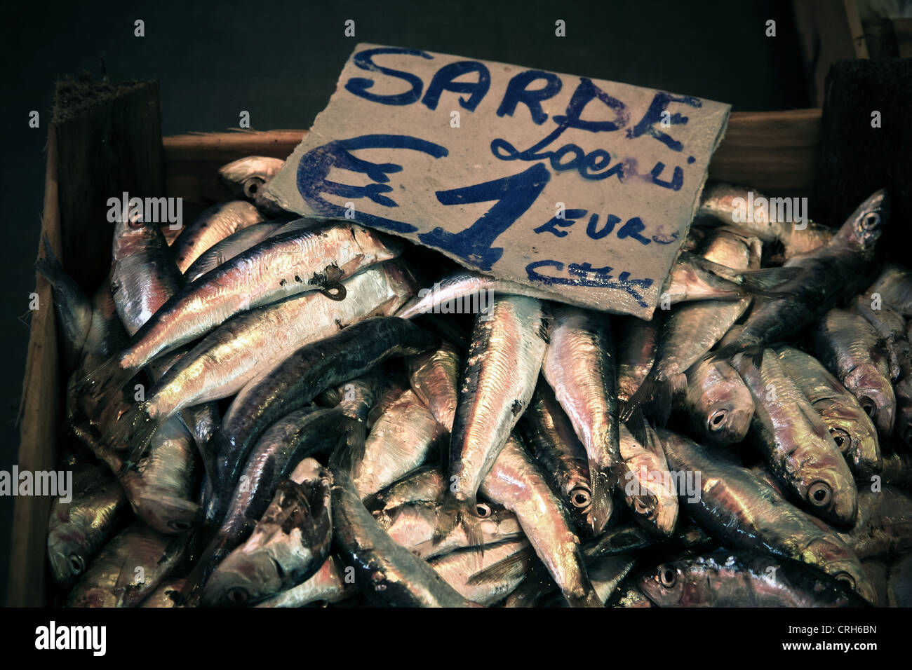 Sardines for sale on a market stall Stock Photo - Alamy