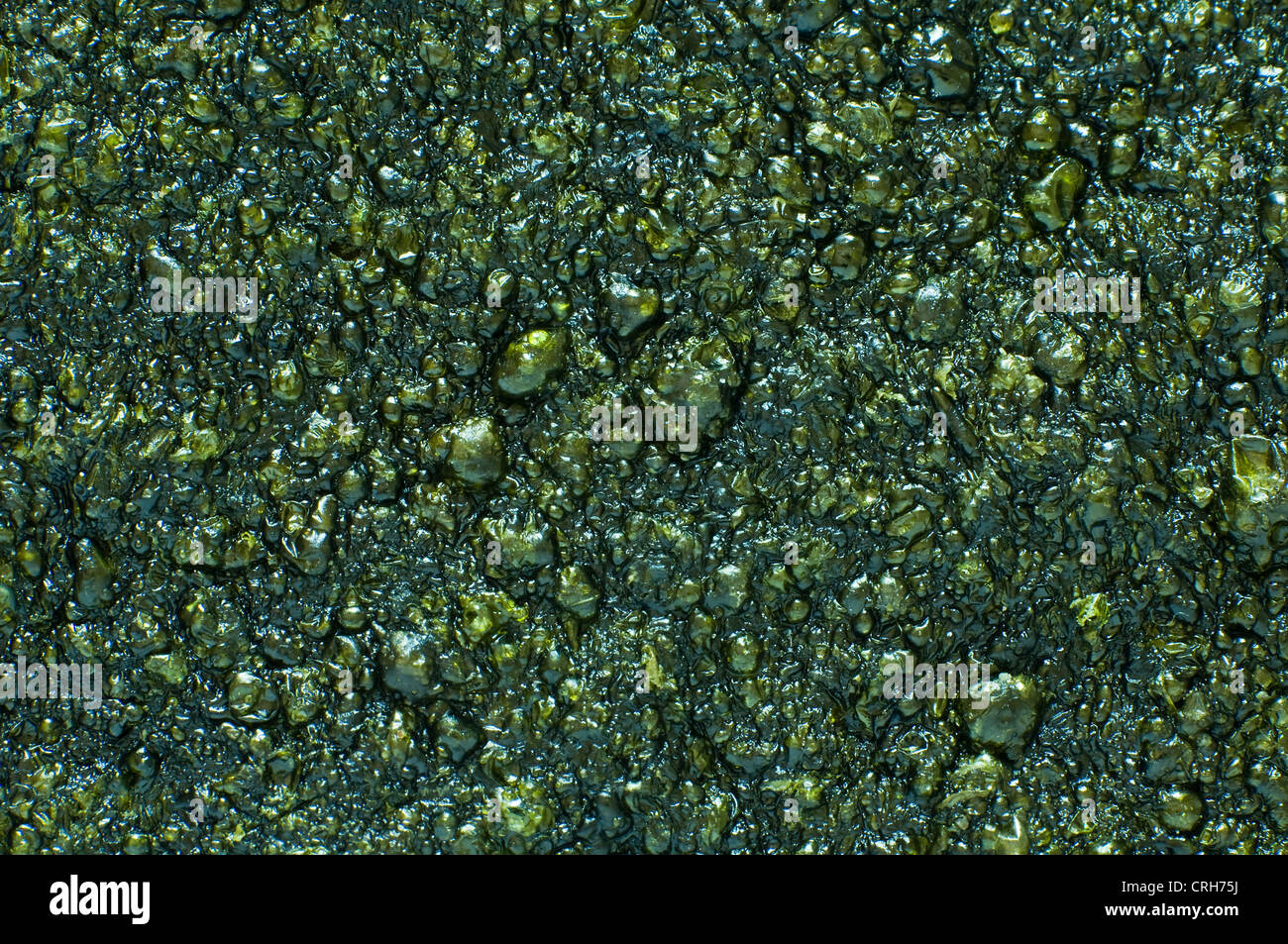 Dried seaweed sheet hi-res stock photography and images - Alamy