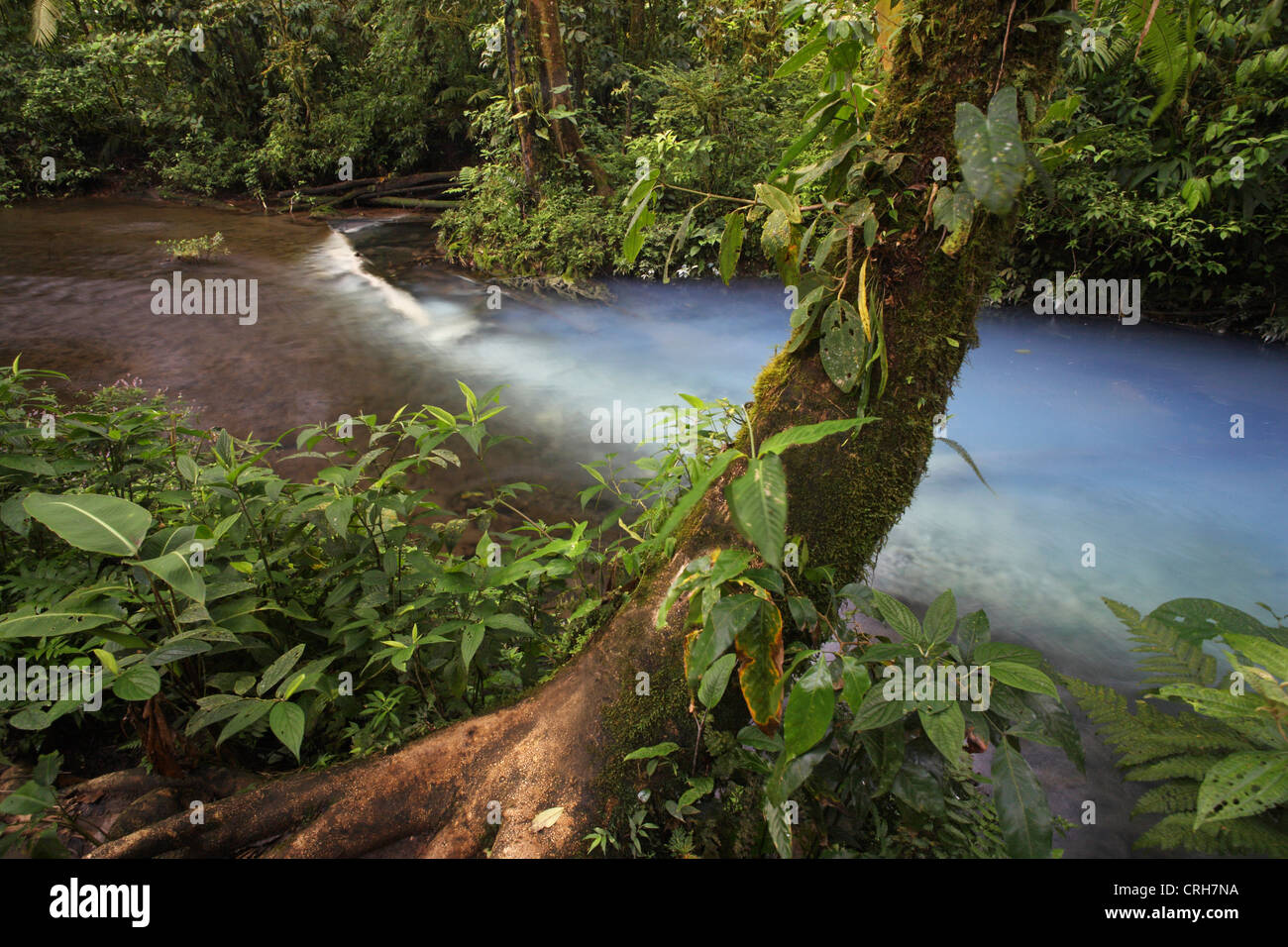 Confluence of two streams at the source of Rio Celeste (Blue River) in ...