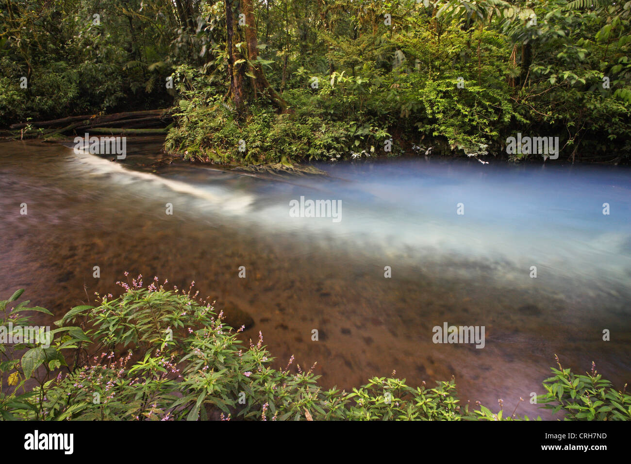 Confluence of two streams at the source of Rio Celeste (Blue River) in ...