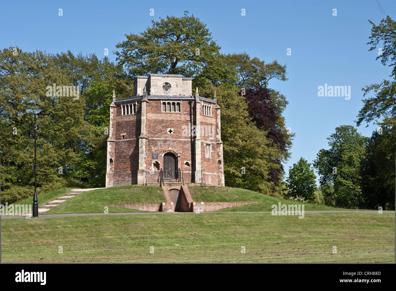 Red lynn hi-res stock photography and images - Alamy