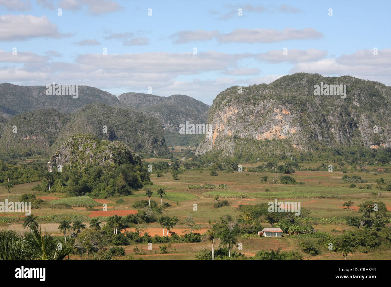 Cuban Landscape Vinales Valley Cuba Stock Photo - Alamy