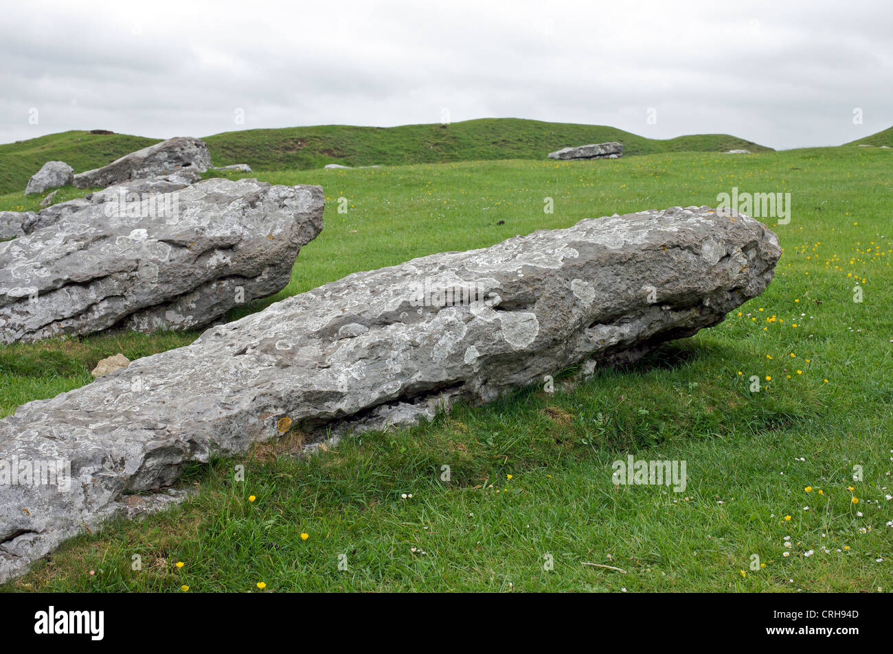 Stoneage hi-res stock photography and images - Alamy