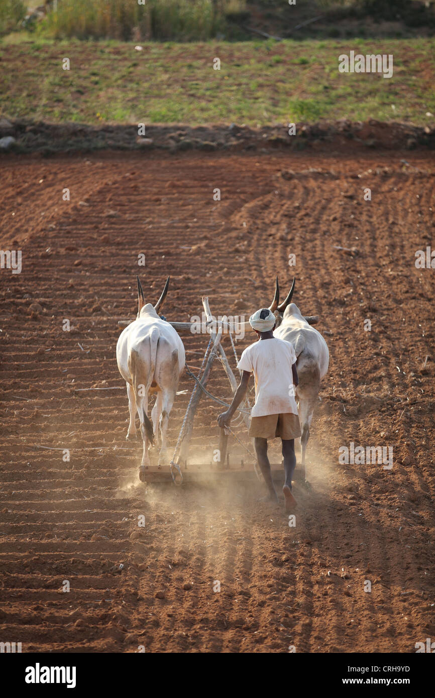 Indian farmer working in his field Andhra Pradesh South India Stock ...