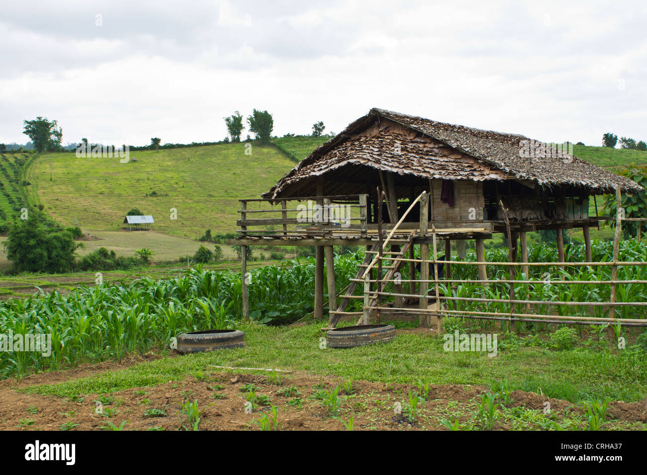 Farmhouse in cornfield hi-res stock photography and images - Alamy