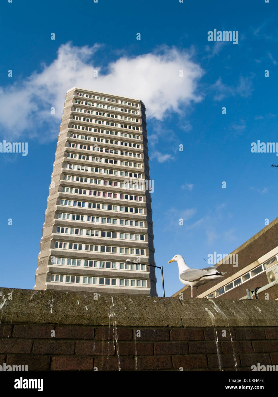Planet House residential tower block in Sunderland Stock Photo - Alamy