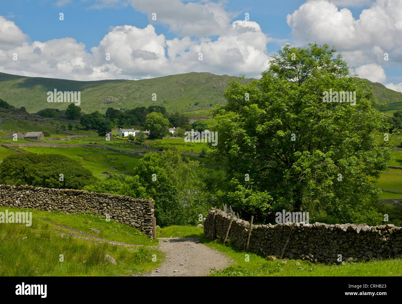 A track in the Kentmere valley, Lake District National Park, Cumbria ...