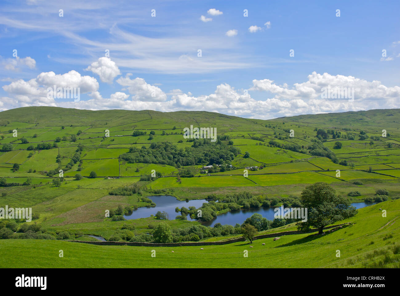 Kentmere Tarn, in the valley of Kentmere, Lake District National Park ...