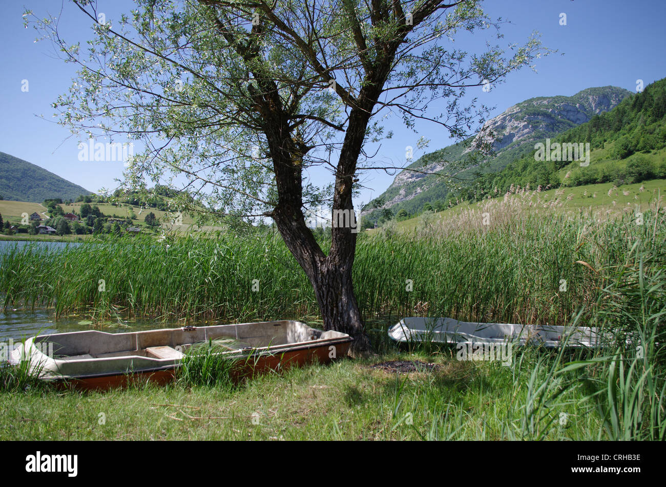 boat under a tree Stock Photo - Alamy