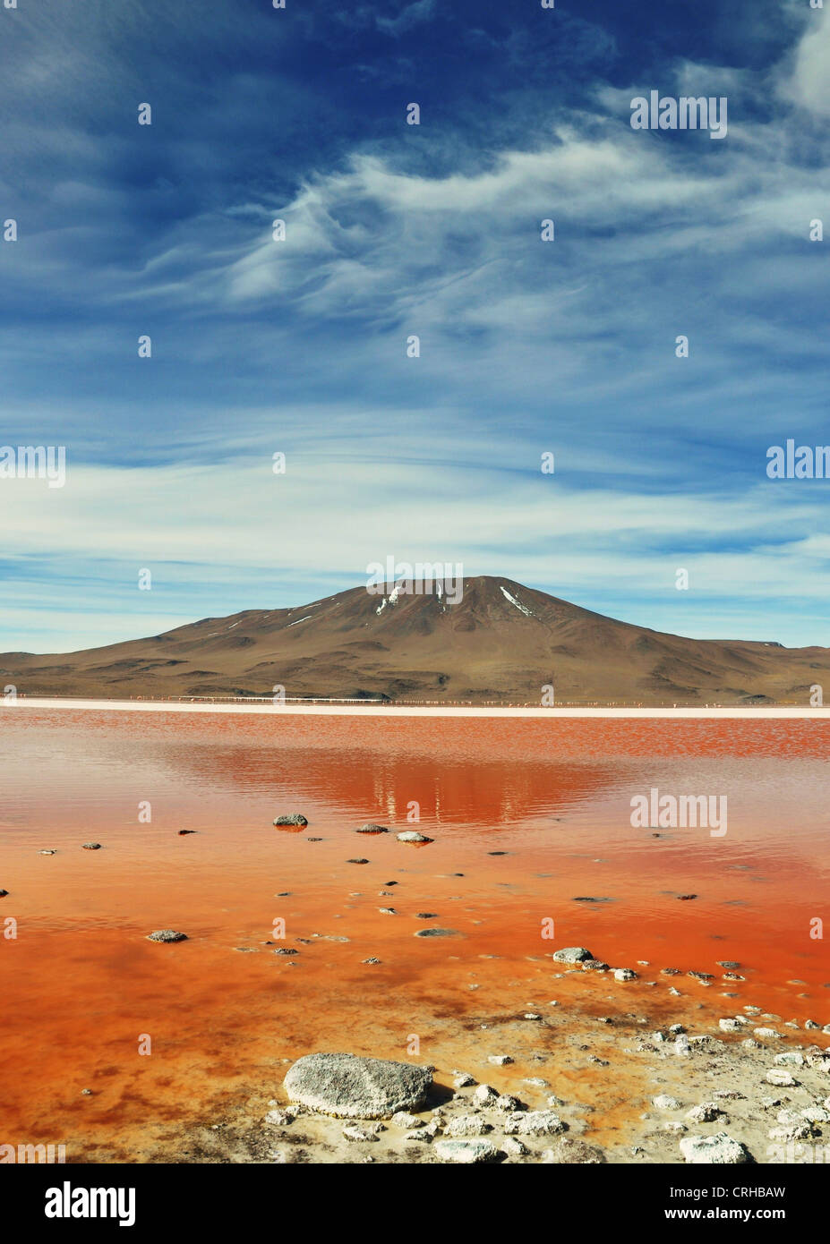 Laguna Colorada - Bolivia Stock Photo - Alamy