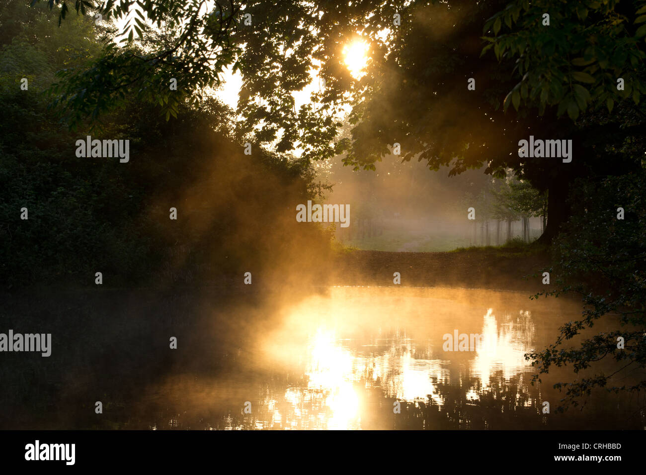 Mist on river ver dawn hi-res stock photography and images - Alamy