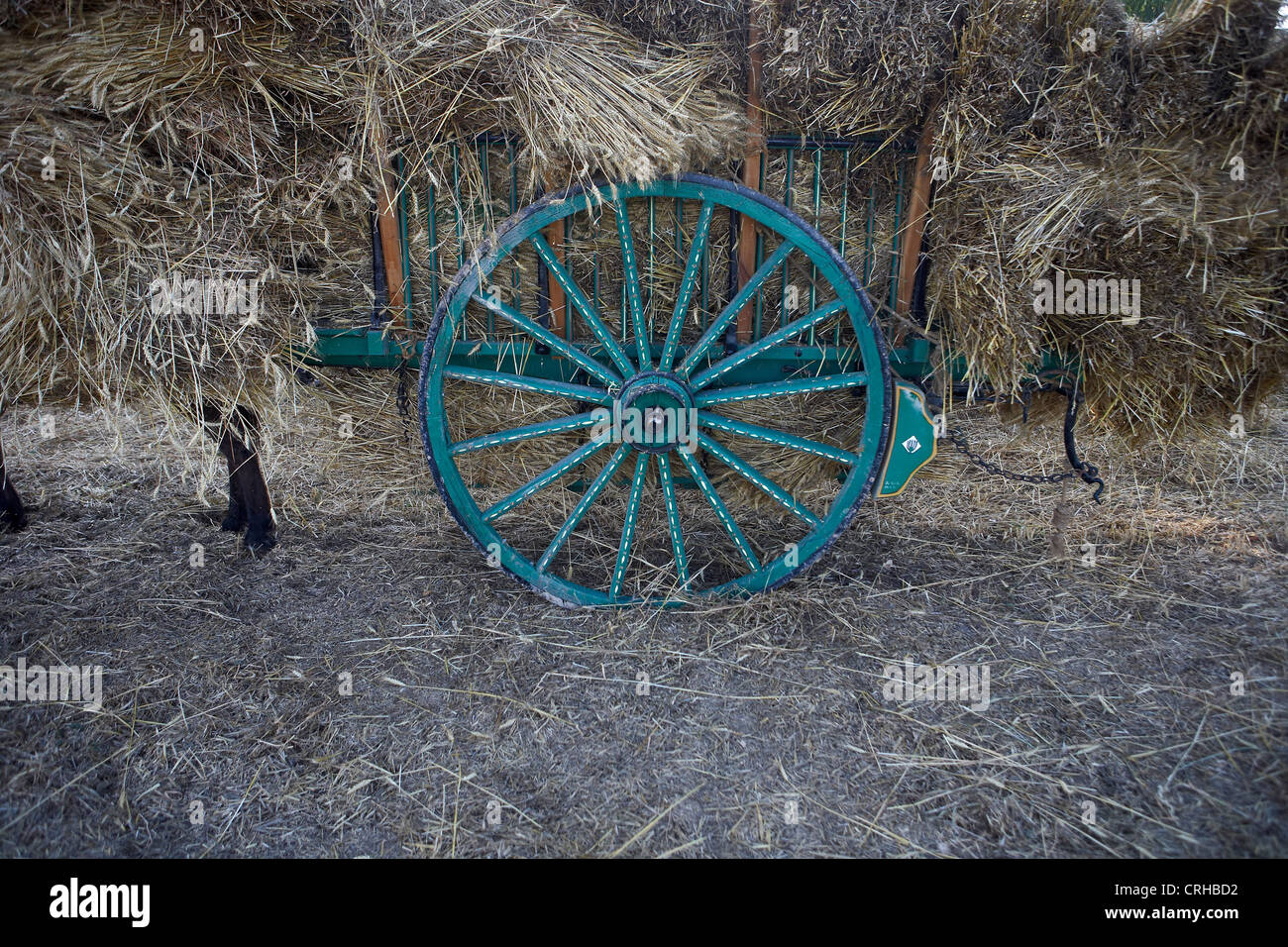 Blue wheel on a wood antique cart to carry straw Stock Photo - Alamy