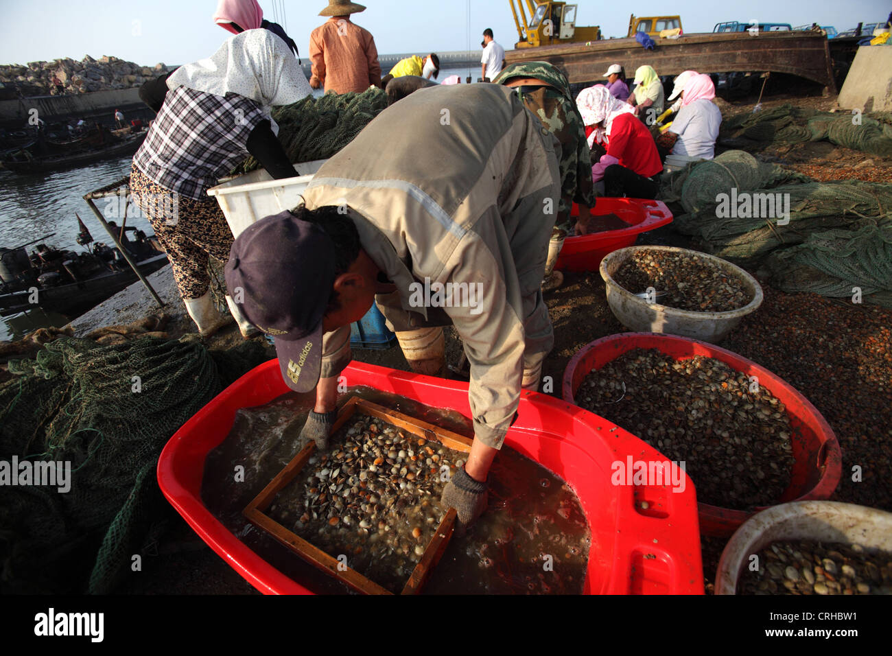 People clean up contaminated shells during the oil spill disaster in ...