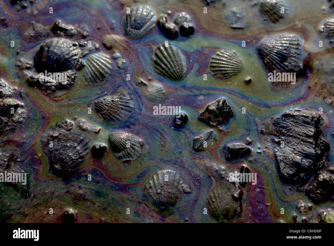 Dead coats hi-res stock photography and images - Alamy