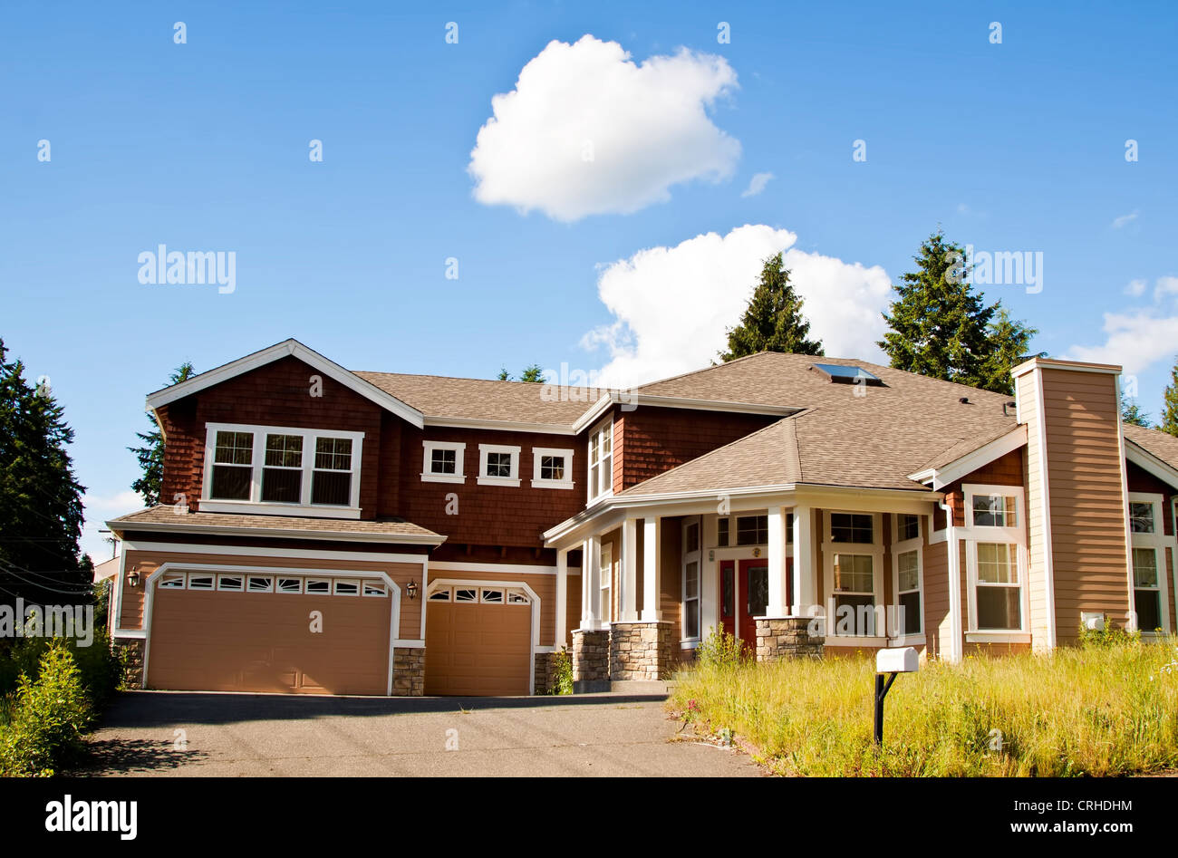 new beautiful suburban luxury house at sunny day with green grass Stock ...