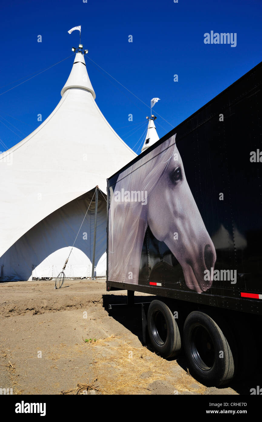 The Cavalia Horse Show, San Jose CA Stock Photo - Alamy