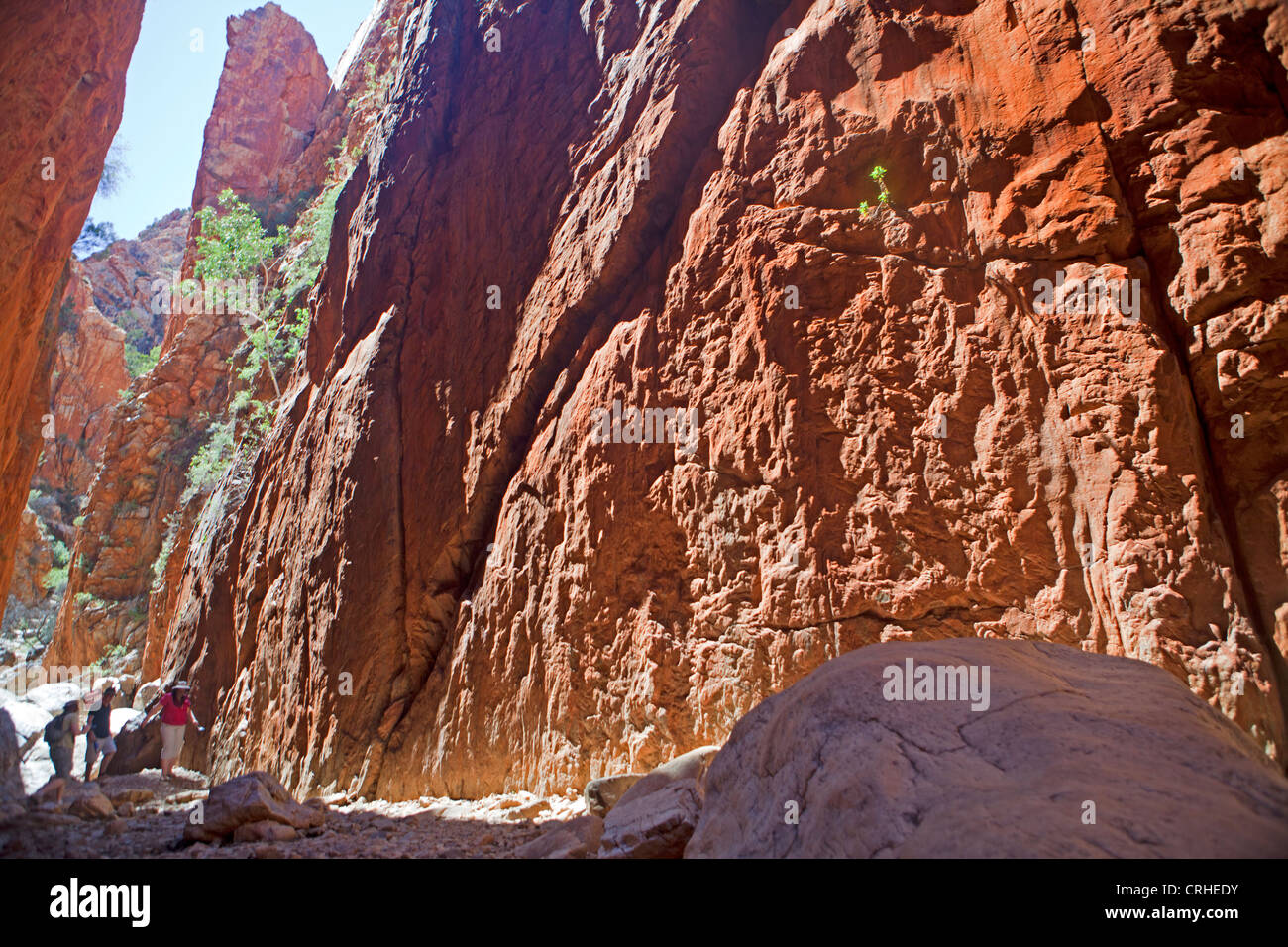 Standley Chasm in the West MacDonnell Ranges Stock Photo - Alamy
