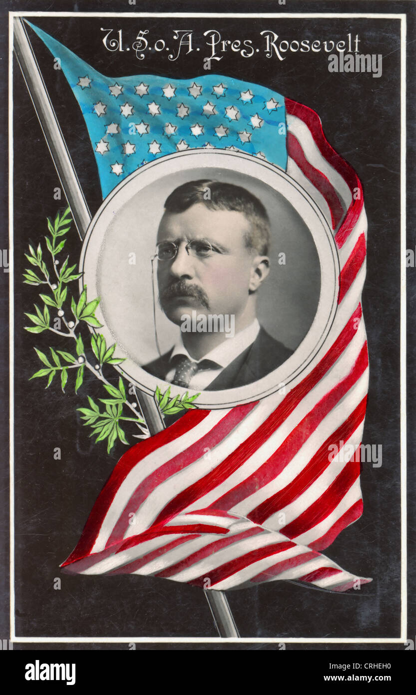 USA President Roosevelt with American Flag, circa 1901 Stock Photo - Alamy
