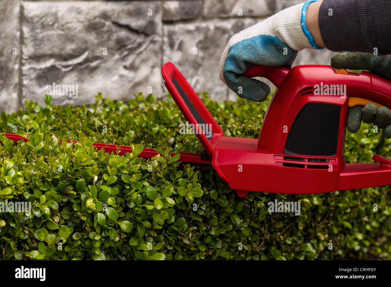 Hands holding power hedger while trimming hedges Stock Photo - Alamy