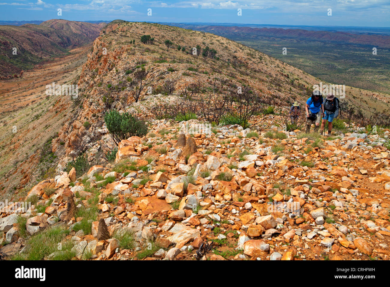 Bushwalk larapinta hi-res stock photography and images - Alamy
