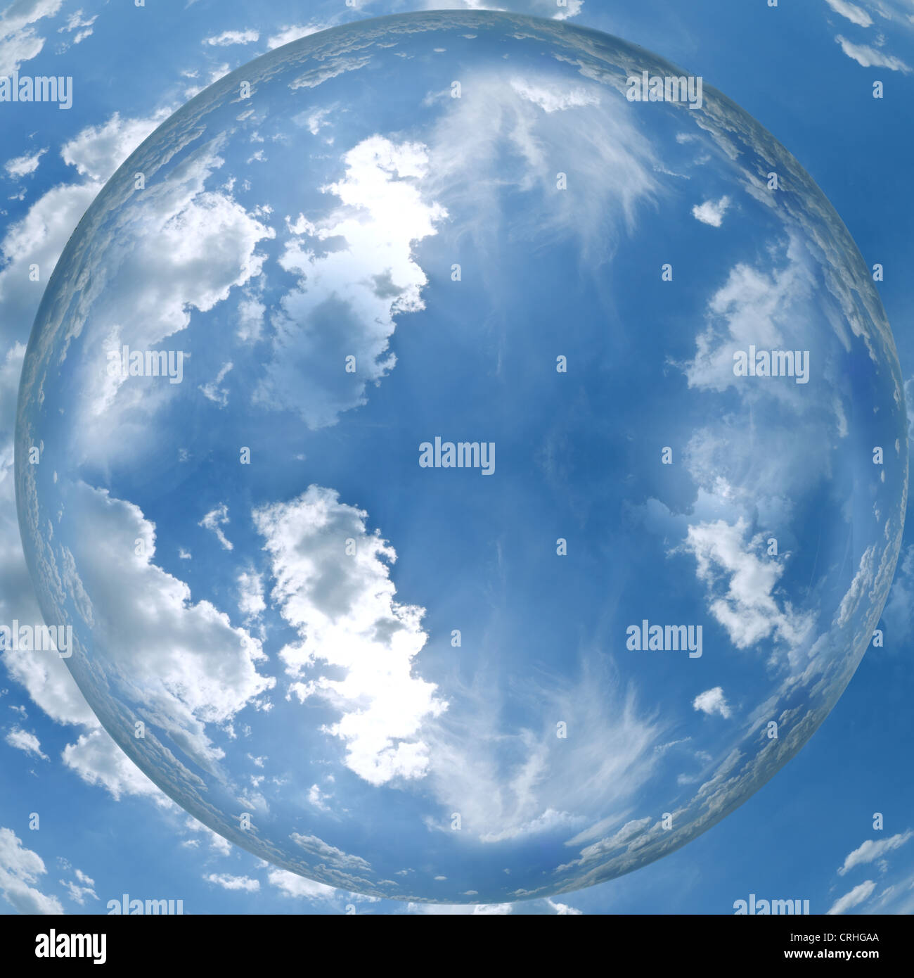 Canola fields under salient sky in spring landscape Stock Photo - Alamy