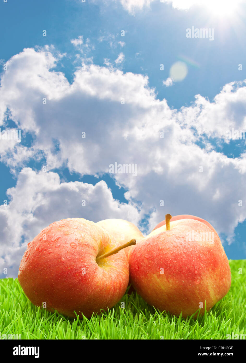 Red Apples on Green Grass under Blue Sky Stock Photo - Alamy
