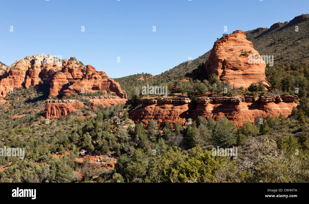 Arizona red rocks trees hi-res stock photography and images - Alamy