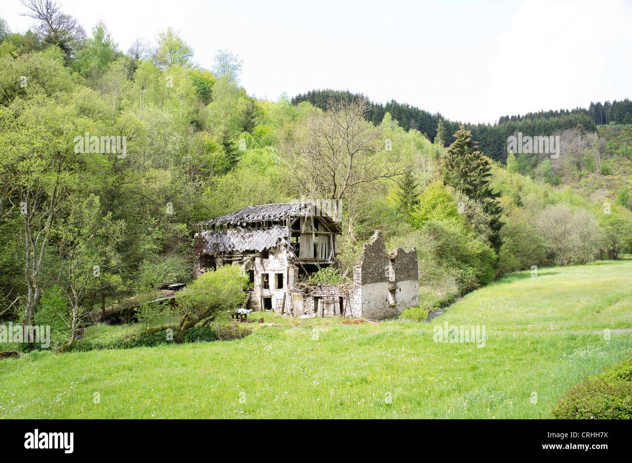 Old wreck house surrounded by trees in forest Stock Photo - Alamy
