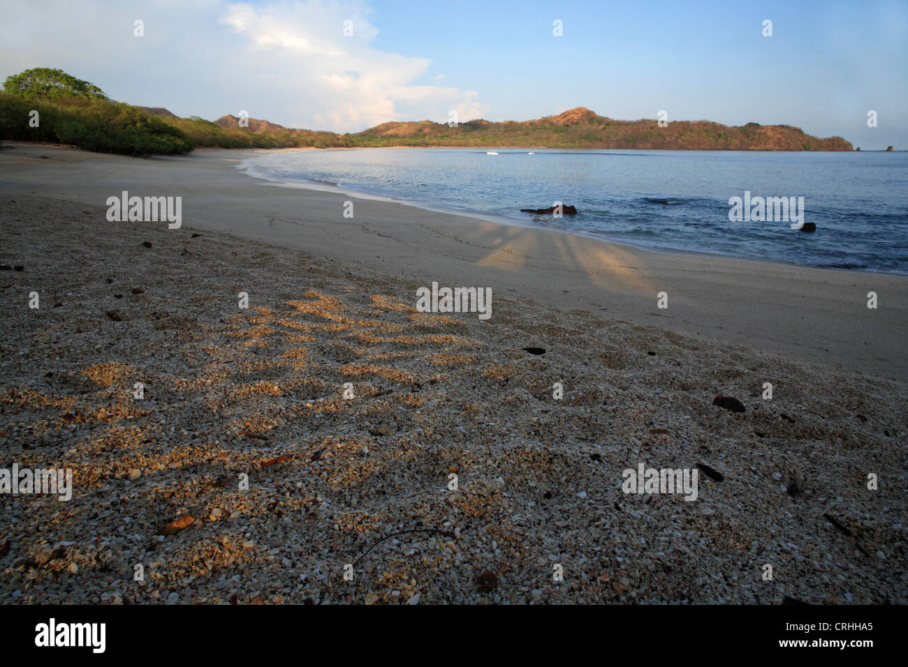 Conchal Beach, Guanacaste, Costa Rica. April 2012. The beach is made up ...