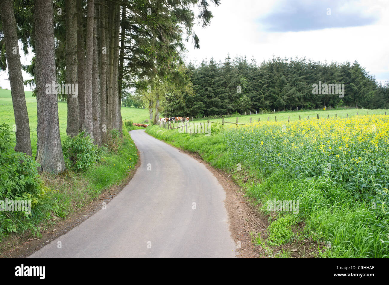 Rural landscape with winding farm road through field Stock Photo - Alamy
