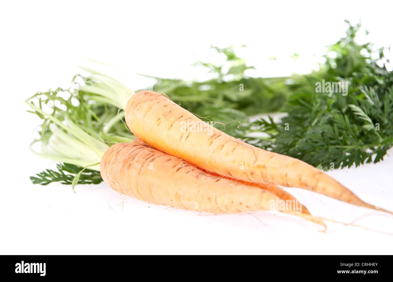 Bundle of carrots with herb isolated on white background Stock Photo ...