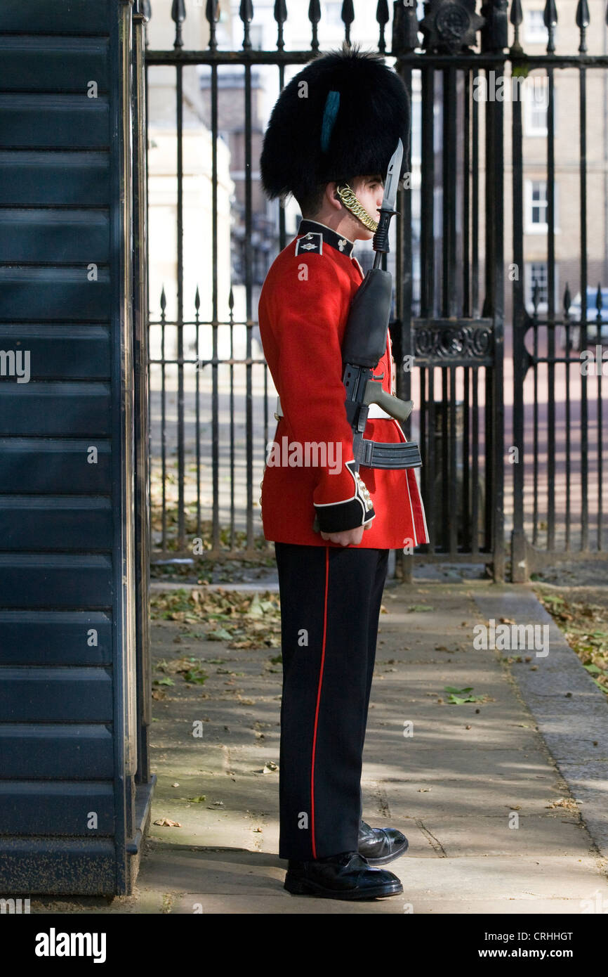 Guardsman outside the gates of St James Palace London England Stock ...