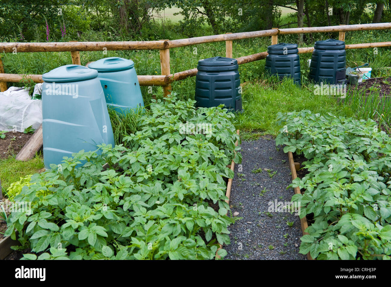 Allotment summer compost bin hi-res stock photography and images - Alamy