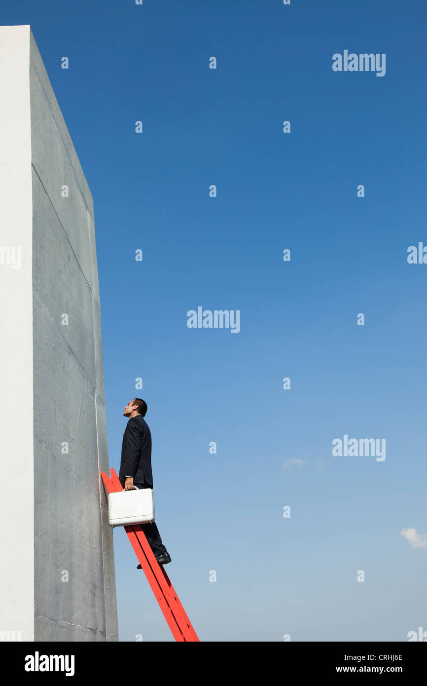 Determined business professionals climb ladder of success despite ...