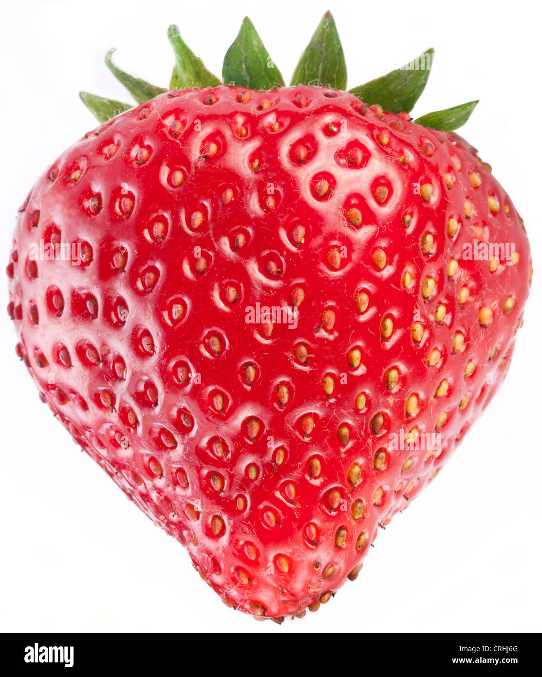 Appetizing one strawberry. Isolated on a white background Stock Photo ...