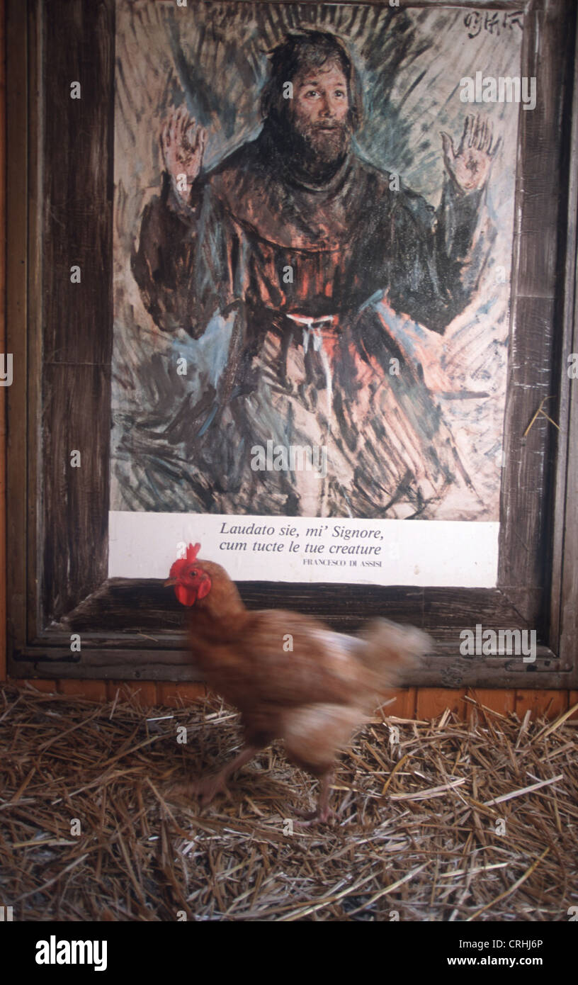 Chicken before the statue of St. Francis Stock Photo - Alamy